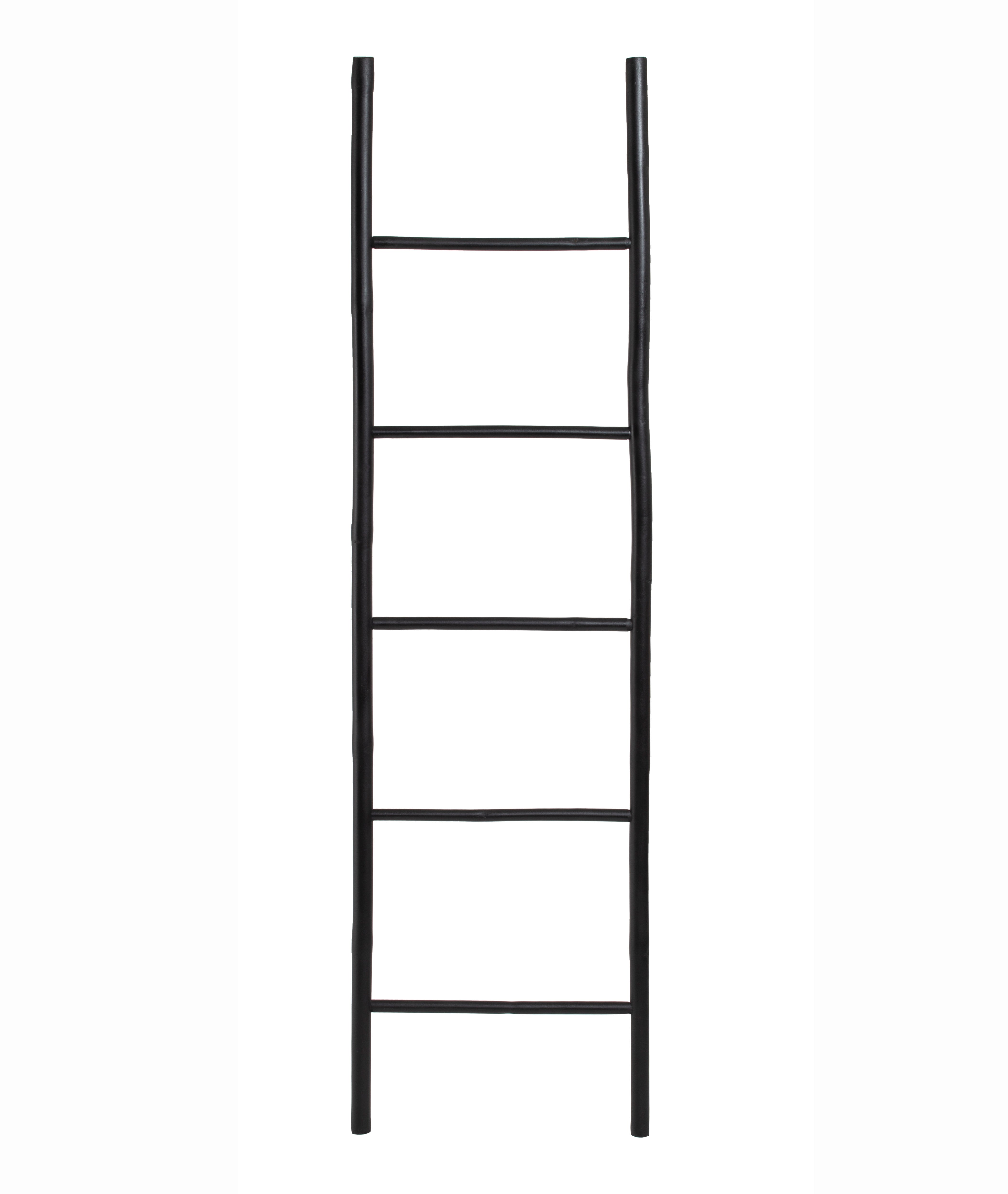 Hanging ladder store